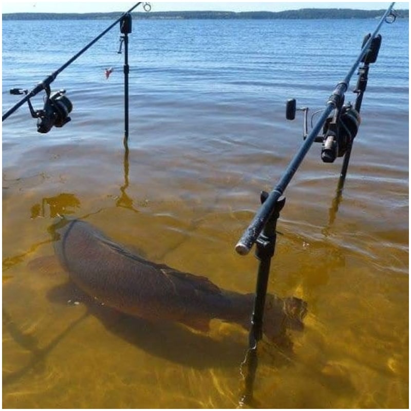 30 Funny Fishing Moments Caught On Camera – avocadoposts