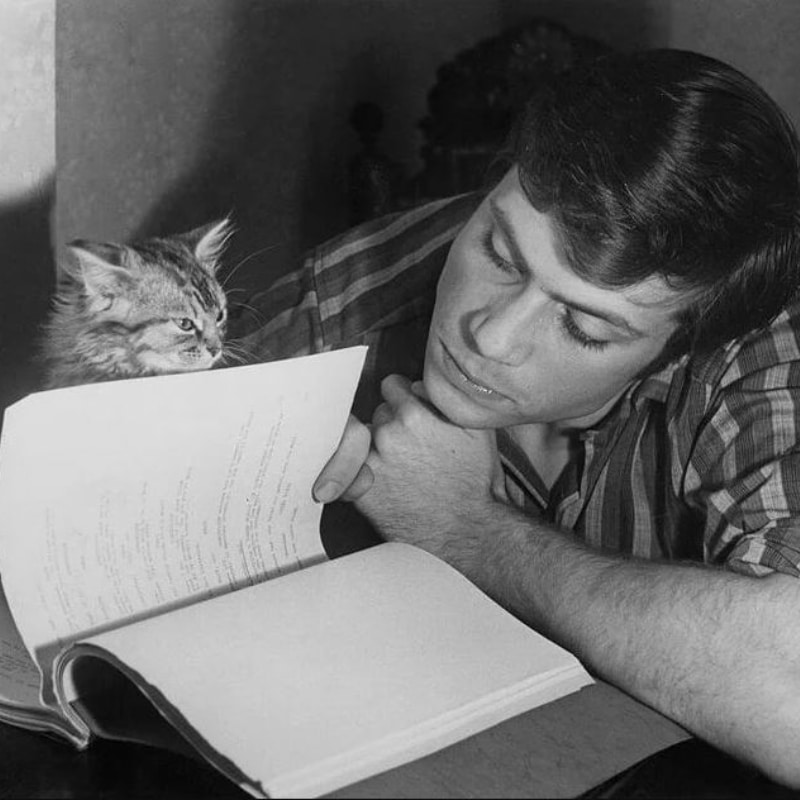 Purr-fect Insights: 30+ Amazing Cat Facts for Feline Fans – avocadoposts