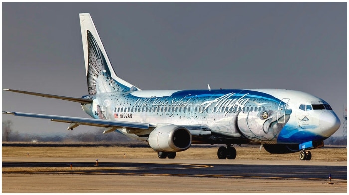 30 Incredible Aircraft Paint Jobs That You Can See Flying In The Sky ...