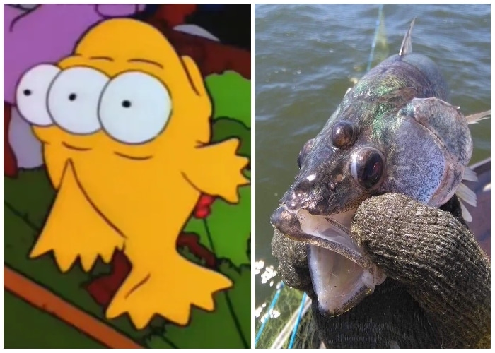 30 Times The Simpsons Predicted the Future - worldtravelling