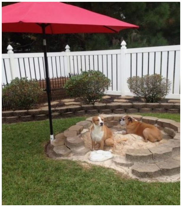 46 Pet Parent Hacks to Ensure Your Pet’s Ultimate Happiness – avocadoposts