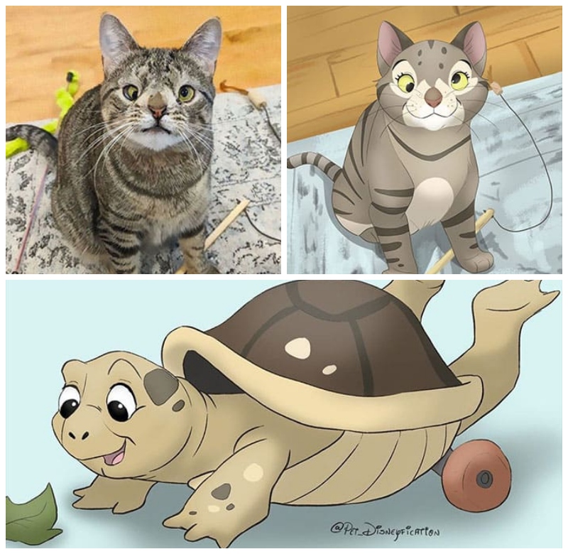 Brilliant Artist Disneyfies Pets Photos Sent To Her By Fans - Comic Stadium