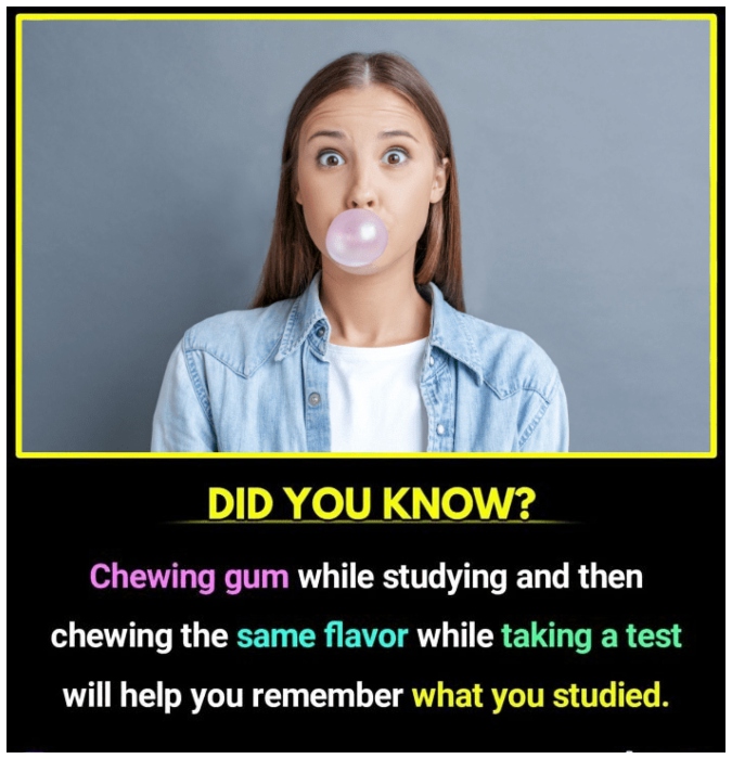 41 Fun Trivia Facts That Will Impress Everyone Around You