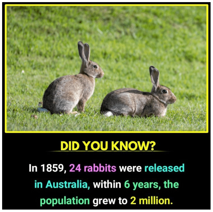 41 Fun Trivia Facts for Your Next Conversation Starter - worldtravelling