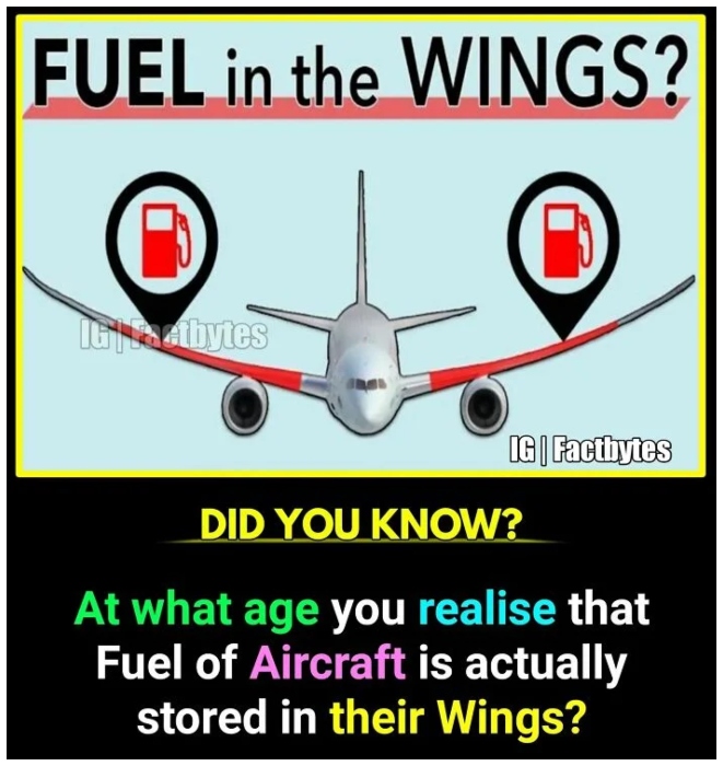 41 Fun Trivia Facts for Your Next Conversation Starter - worldtravelling