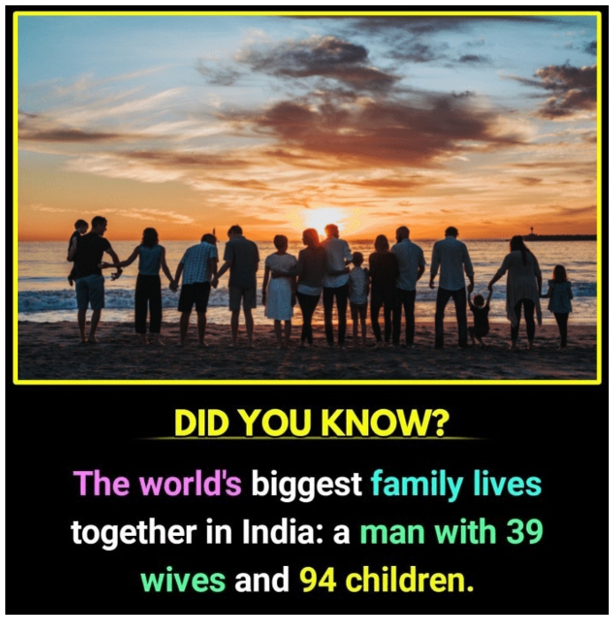 41 Fun Trivia Facts That Will Impress Everyone Around You