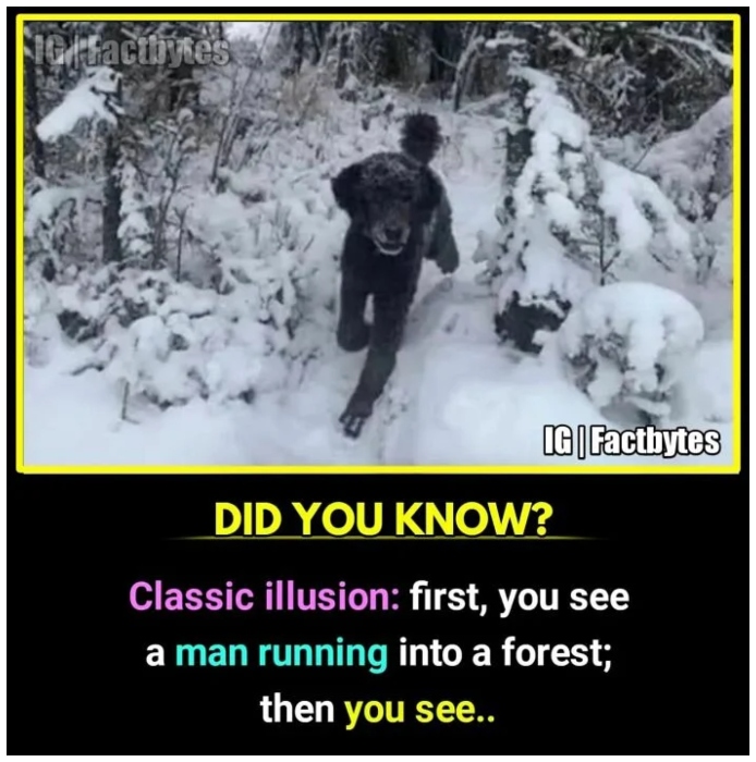 41 Fun Trivia Facts for Your Next Conversation Starter - worldtravelling