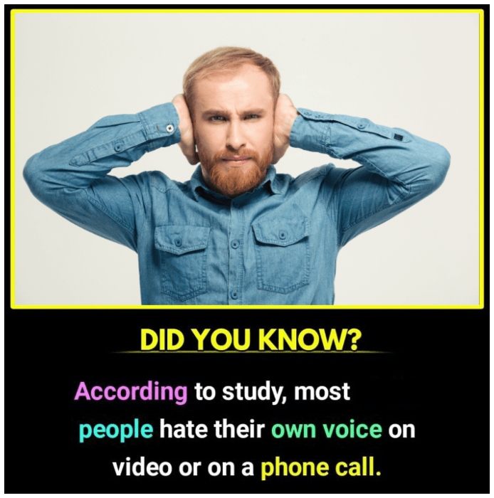 41 Fun Trivia Facts for Your Next Conversation Starter - worldtravelling