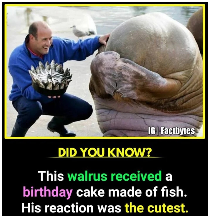 41 Fun Trivia Facts for Your Next Conversation Starter - worldtravelling