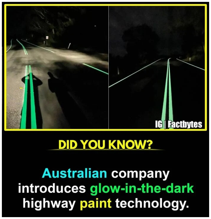 41 Fun Trivia Facts for Your Next Conversation Starter - worldtravelling