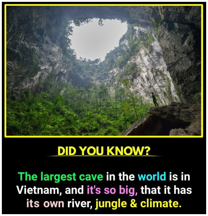 41 Fun Trivia Facts That Will Impress Everyone Around You