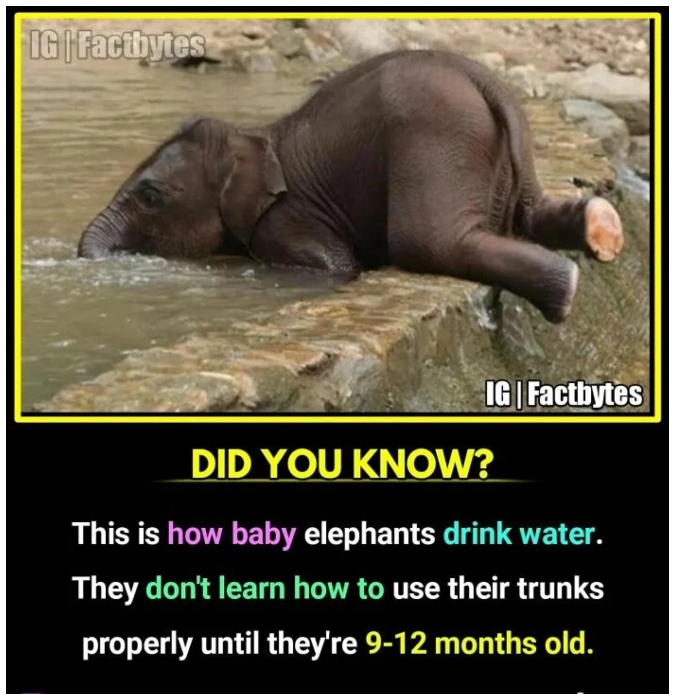 41 Fun Trivia Facts for Your Next Conversation Starter - worldtravelling