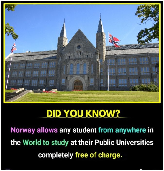 41 Fun Trivia Facts That Will Impress Everyone Around You