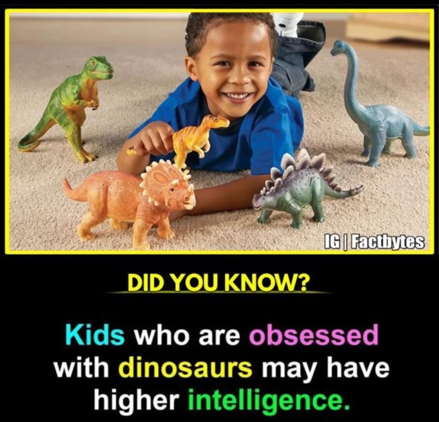 41 Fun Trivia Facts for Your Next Conversation Starter - worldtravelling