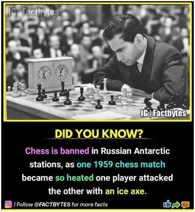 41 Fun Trivia Facts for Your Next Conversation Starter - worldtravelling