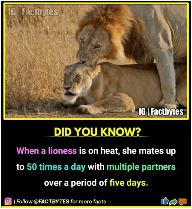 41 Fun Trivia Facts for Your Next Conversation Starter - worldtravelling