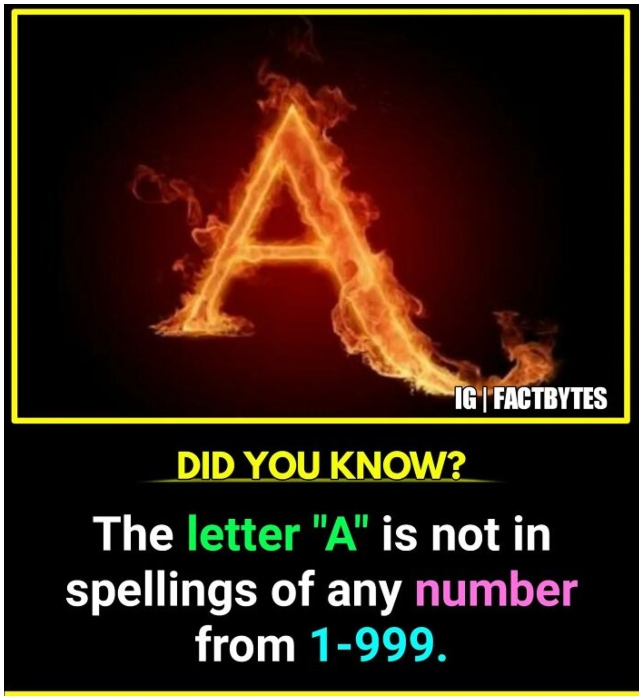 41 Fun Trivia Facts for Your Next Conversation Starter - worldtravelling