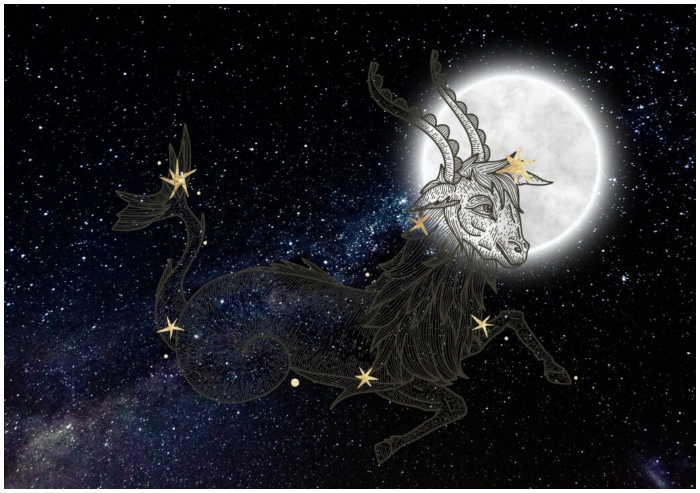 Discover Your Zodiac Sign Spirit Animal and How It Perfectly Represents ...