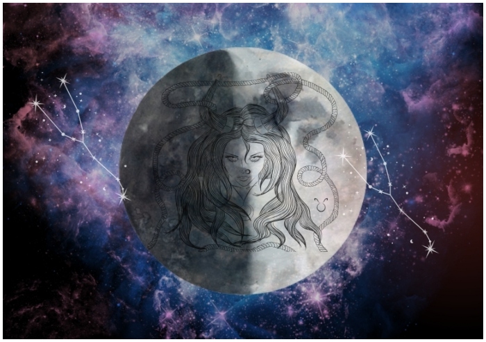 Discover Your Zodiac Sign Spirit Animal and How It Perfectly Represents ...