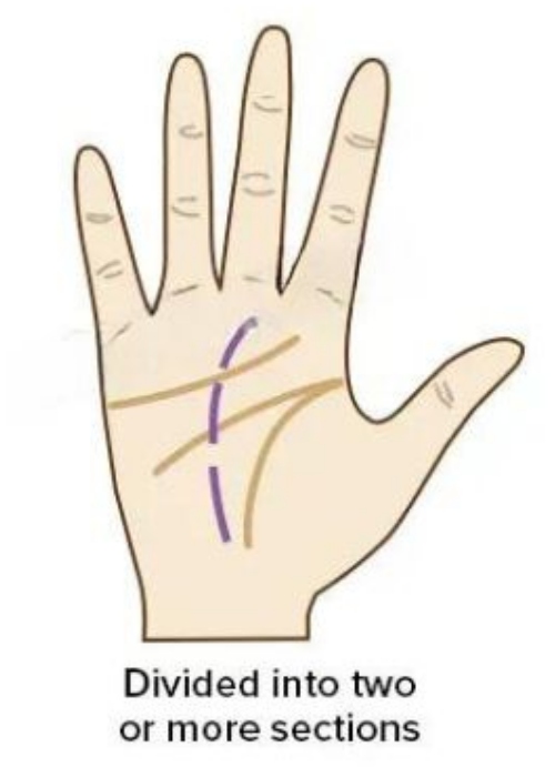 9 Easy Steps to Read Your Palm Lines and Life Path - avocadoposts