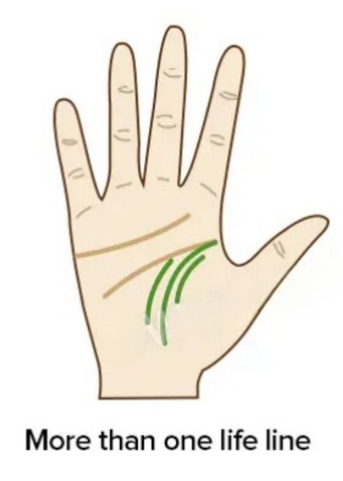 9 Easy Steps to Read Your Palm Lines and Life Path - avocadoposts