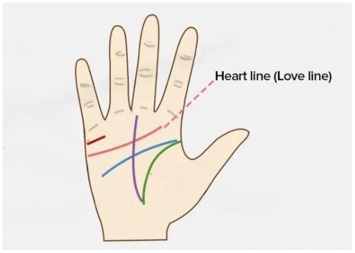 9 Easy Steps to Read Your Palm Lines and Life Path - avocadoposts