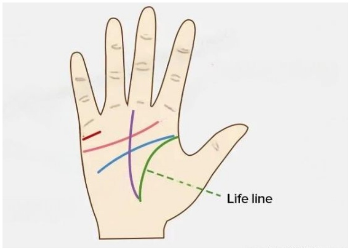 9 Easy Steps to Read Your Palm Lines and Life Path - Worldlyhistory