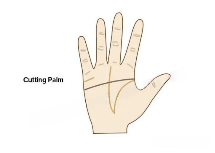 9 Easy Steps to Read Your Palm Lines and Life Path - Worldlyhistory