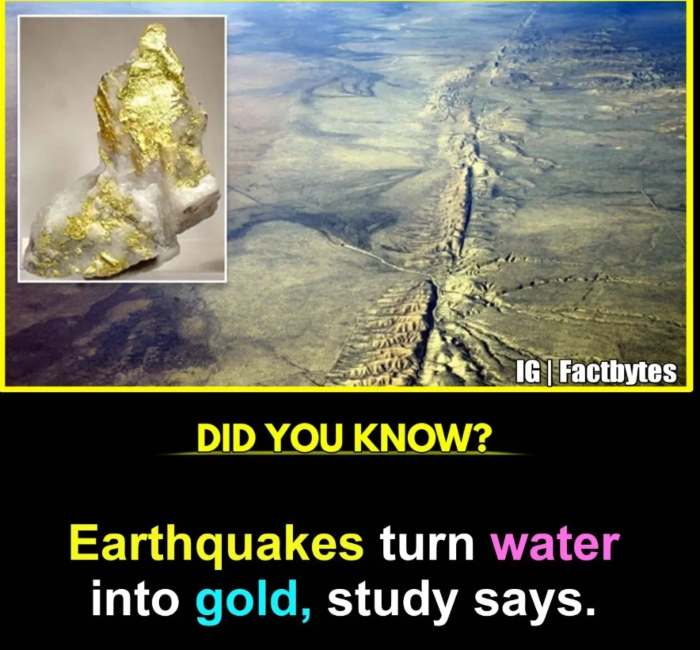 41 Fun Trivia Facts That Will Impress Everyone Around You