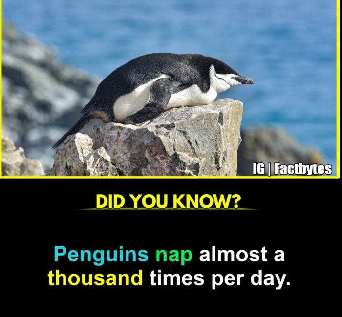 41 Fun Trivia Facts for Your Next Conversation Starter - worldtravelling