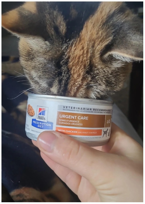The Best and Worst Cat Food Brands Ranked - Comic Stadium