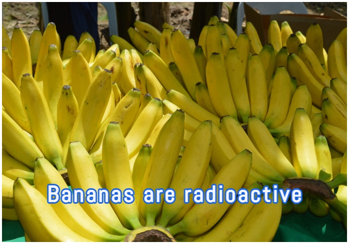 27 Science Facts That Will Make You Question Everything - avocadoposts