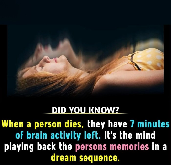 41 Fun Trivia Facts That Will Impress Everyone Around You