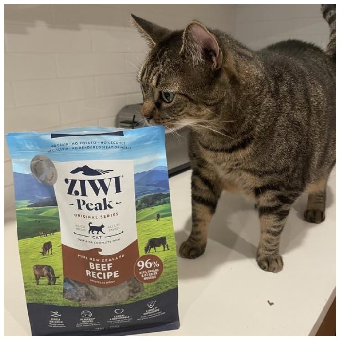 The Best and Worst Cat Food Brands Ranked - Comic Stadium